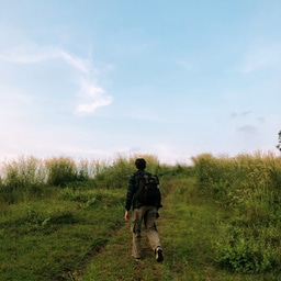 Manoel do Amaral - Pin page – Savee