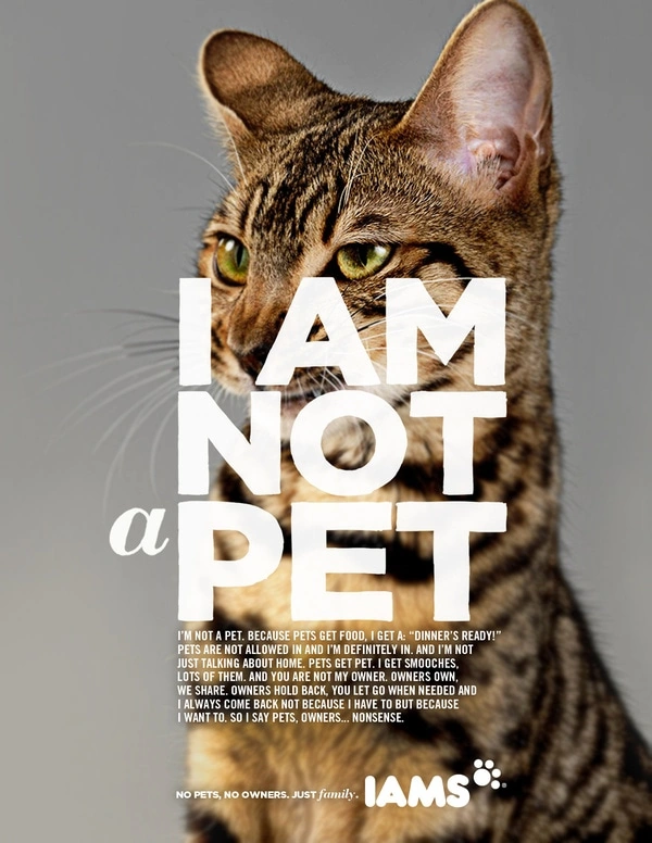 Nando Sperb - IAMS Print Ads. – Savee