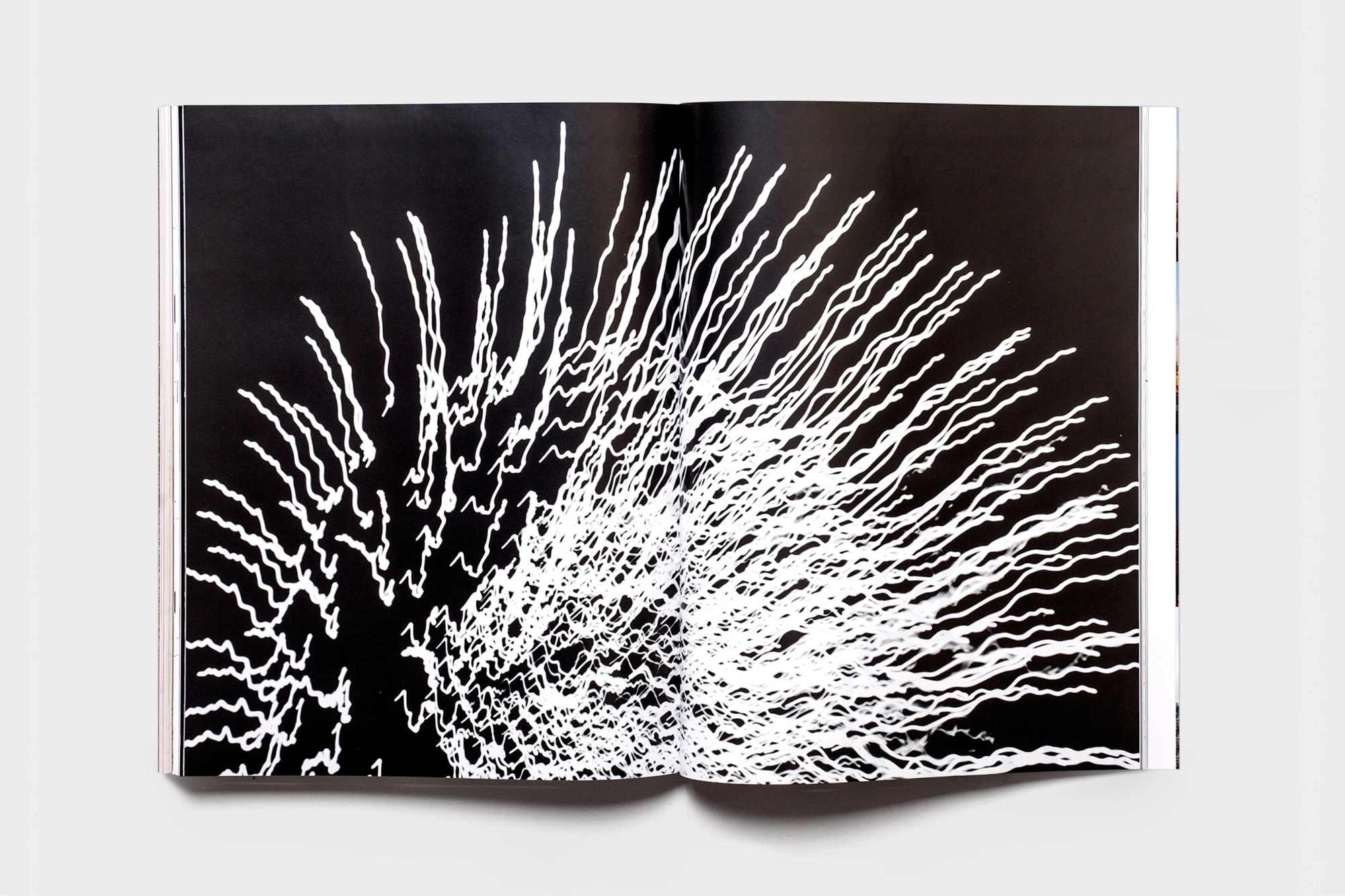 ACRNYM - JAVAS LEHN STUDIO - Saturdays – Savee