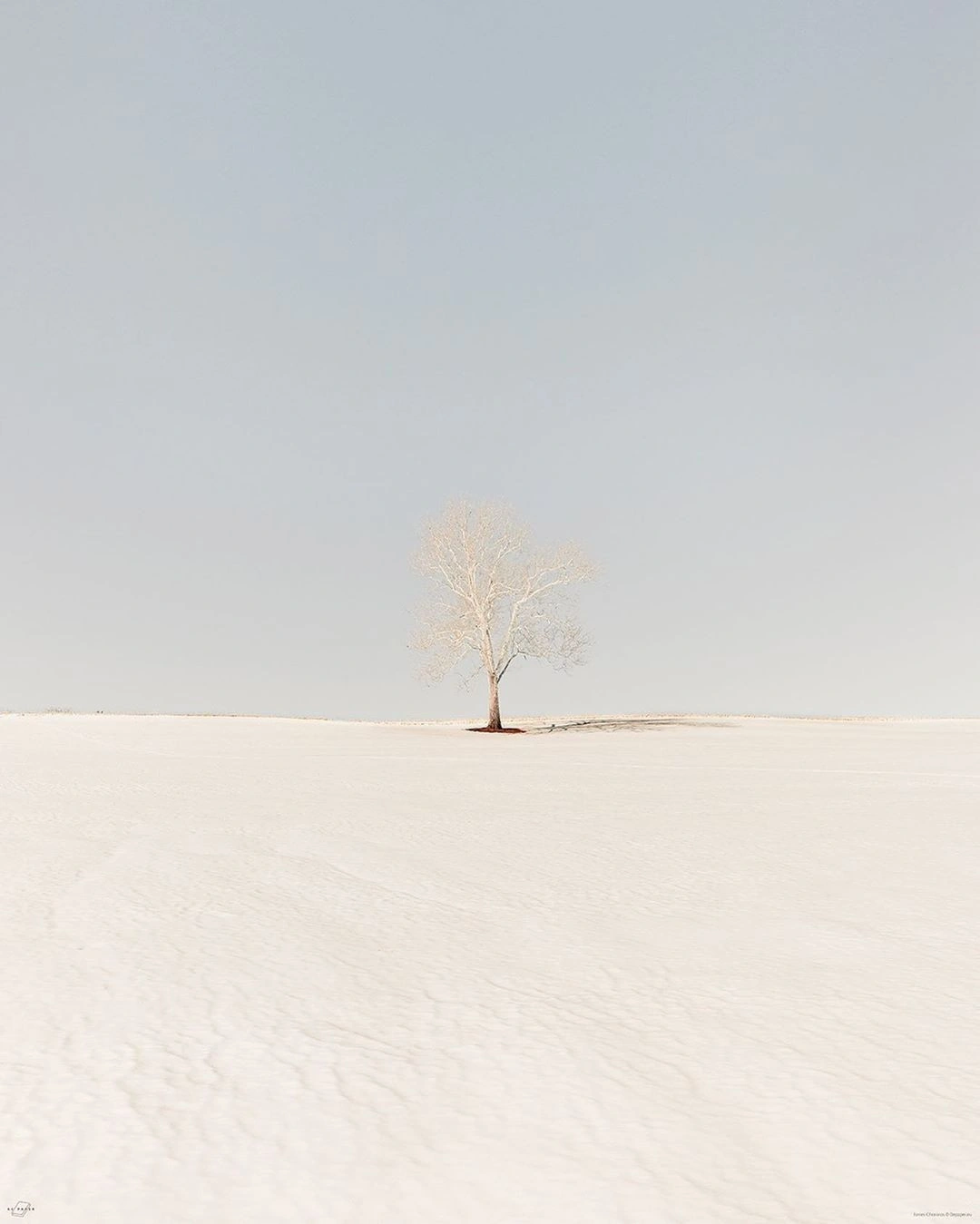 Ana do Amaral - Photo shared by IGNANT on June 11, 2020 tagging @jameschororos. Image may ...