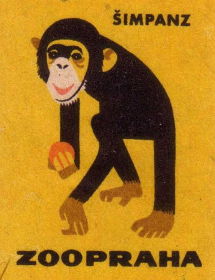 Fish Lai - Screen Shot 2021-01-18 at 10.57.25 PM – Savee