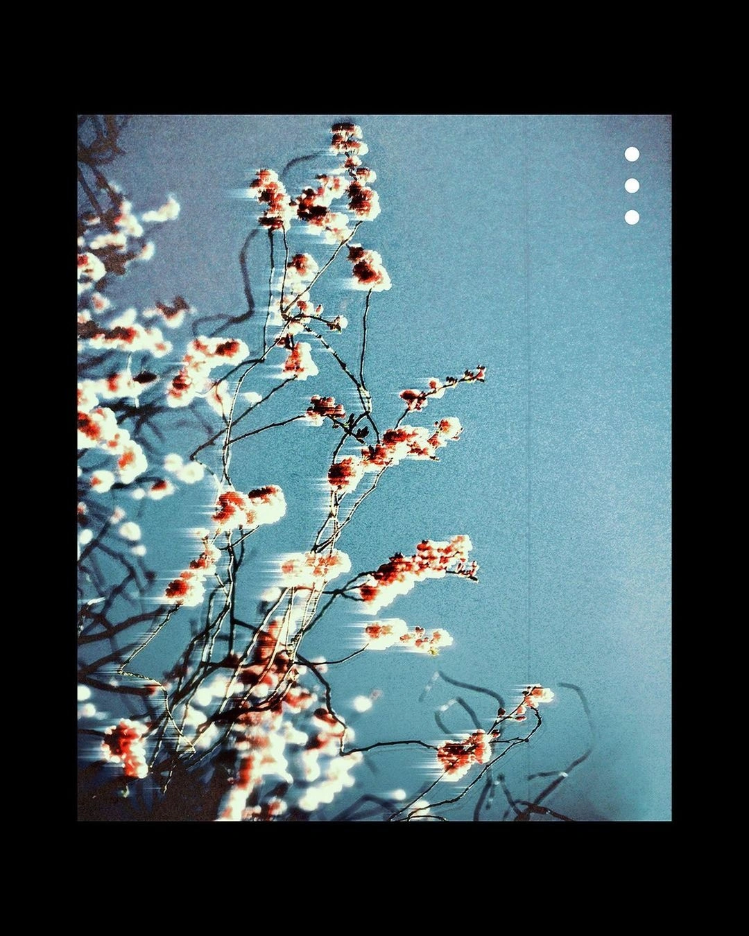 J - 117522927_730857880807989_8399131664992981284_n – SAVEE