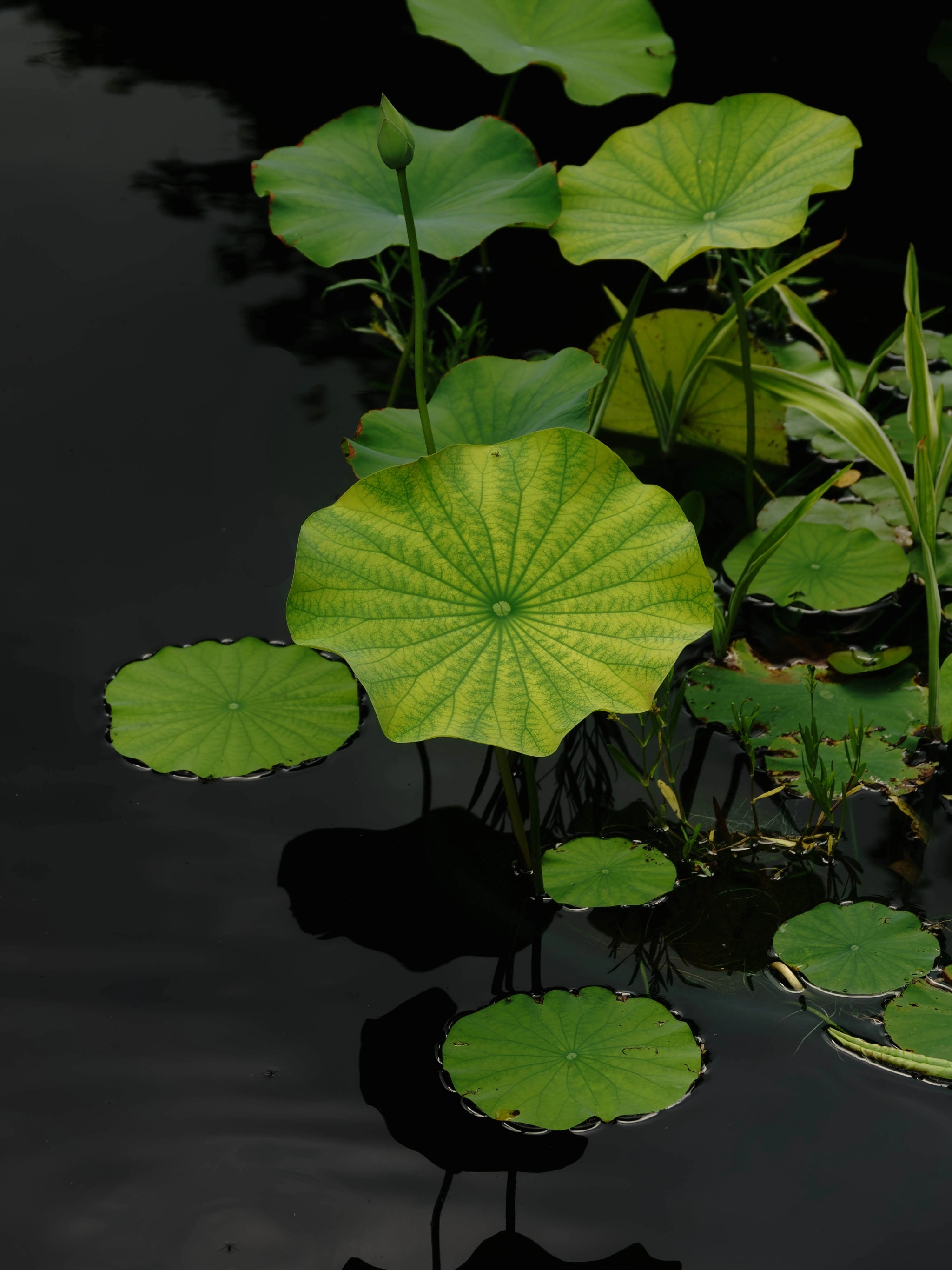 Tim Zarki - 60fa4e39a5e073b47f2ead60992cc773235a4a7f.jpg (2048×2731) – Savee