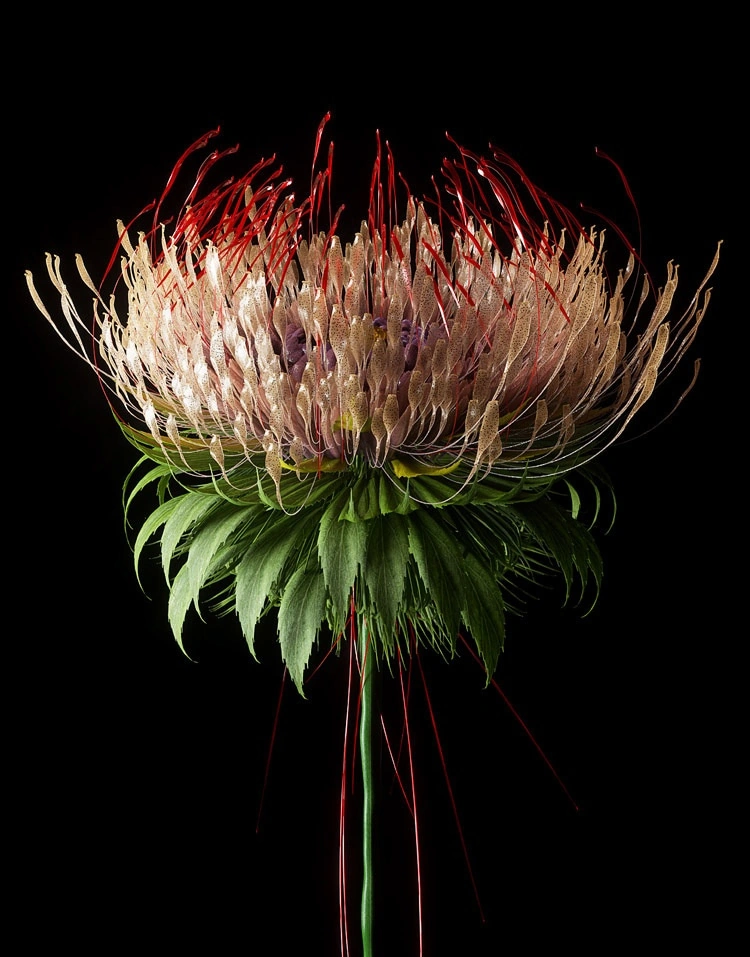 George Goldsack - Hannes Hummel Design – Savee