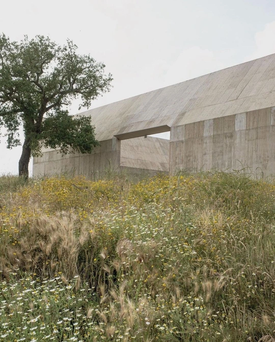 Interrobang - 269697057_308283154513439_8487169276738961106_n.jpg 1,080×1,343 pixels – Savee