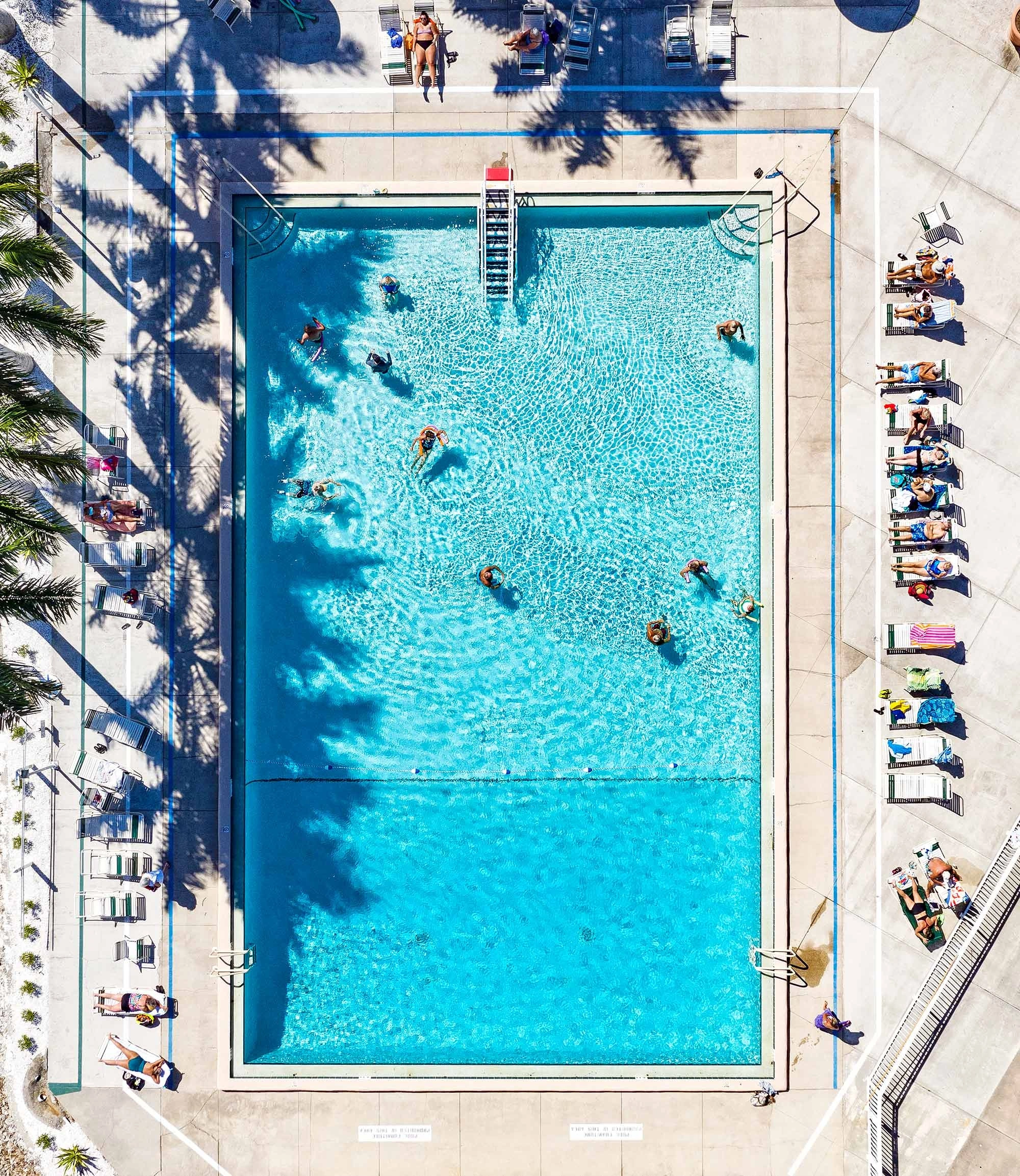 Carmen Fenech - Sky – Michael Prince – Savee