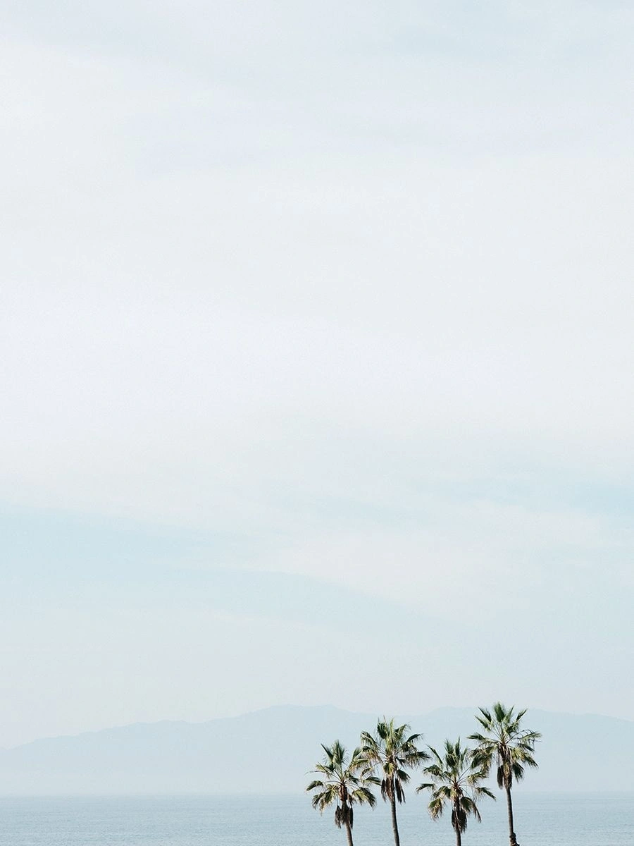 Soizic - Venice Silver – Savee