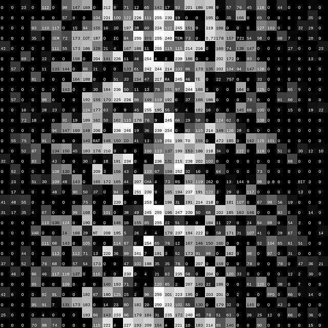 Djurdja - Andreas Lutz / Semiotic System Binary / Still Frame / 2019 – SAVEE