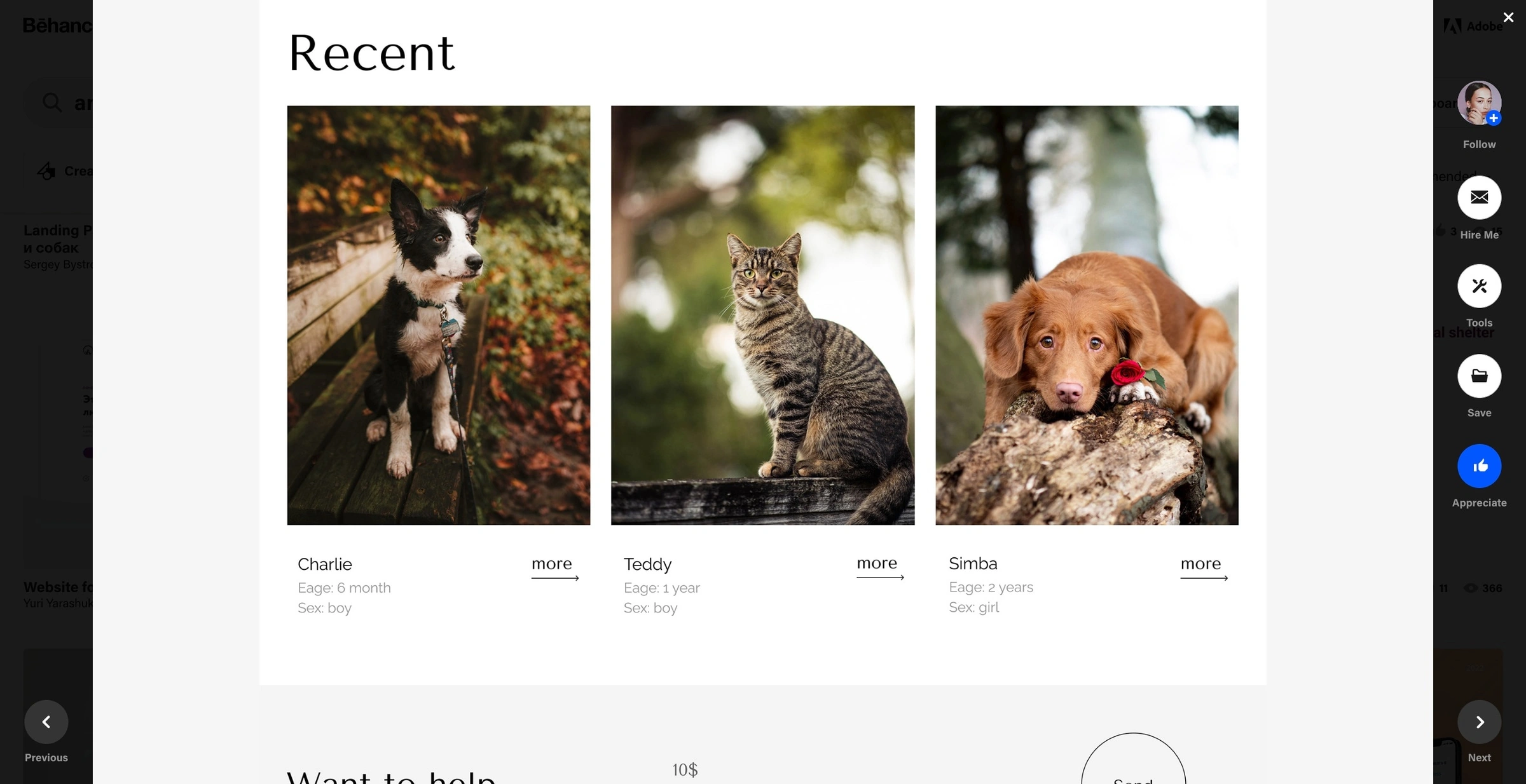 Ieva - Animal Shelter Website Projects | Photos, videos, logos ...