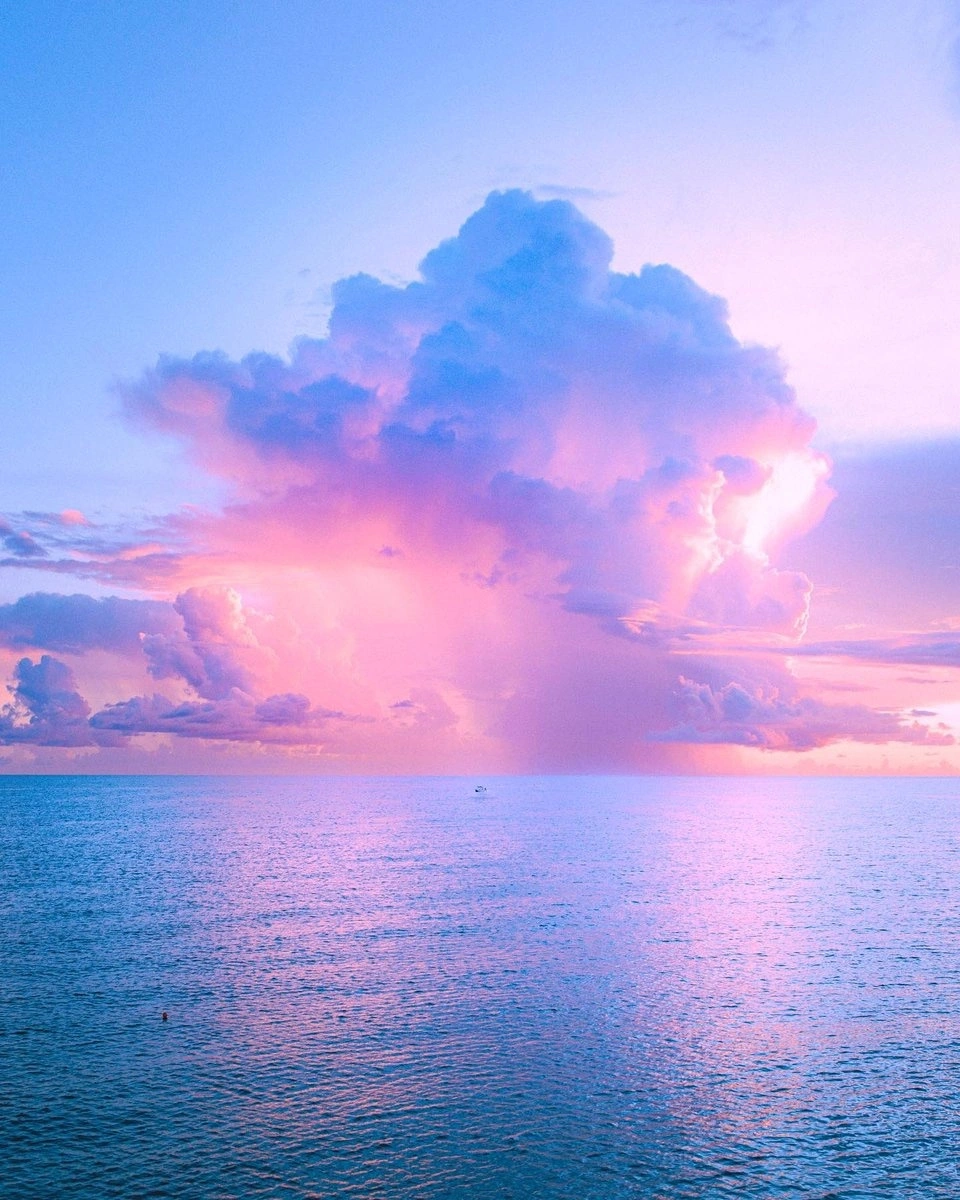 David Kirschberg - Image – Savee