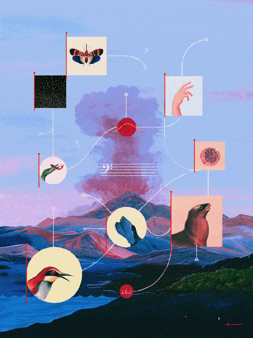 Gustavo Paiva - Sounds Wild and Broken by Daniel Lievano – Savee