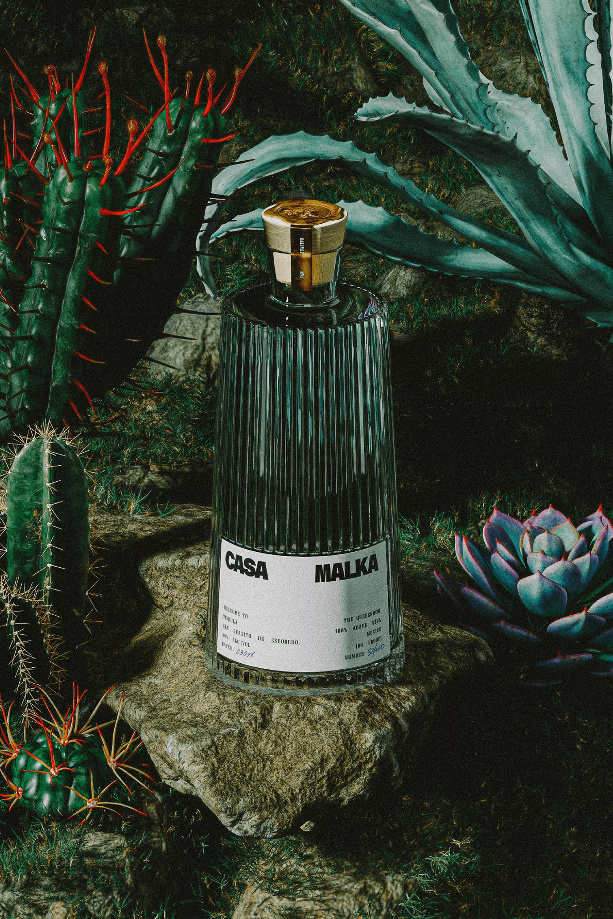 Sacha Kimou - Nihilo’s contrasting identity and bottle for Casa Malka ...