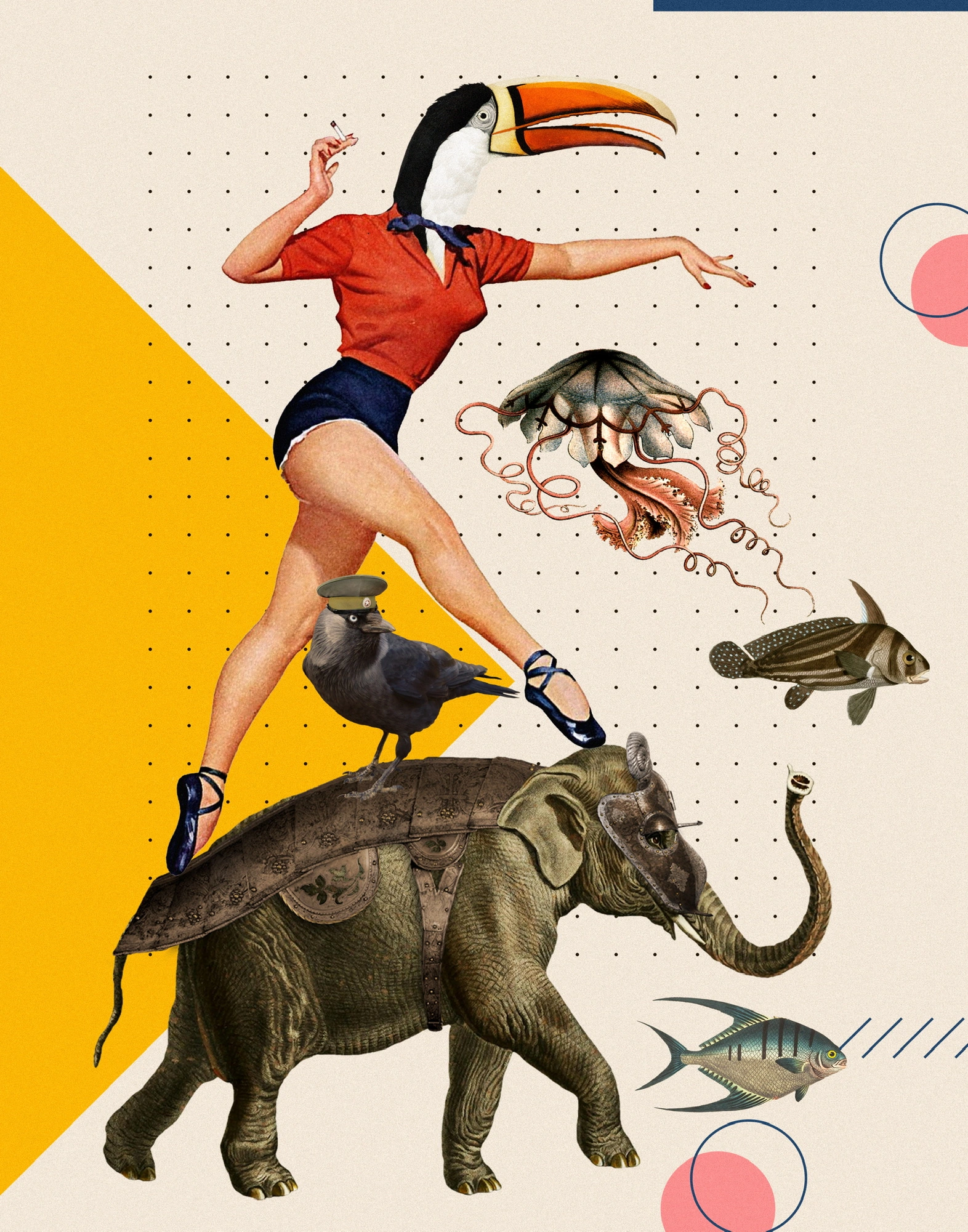 Marco - 971F803A-C7A2-48FC-BC75-28577D948EE3 – Savee