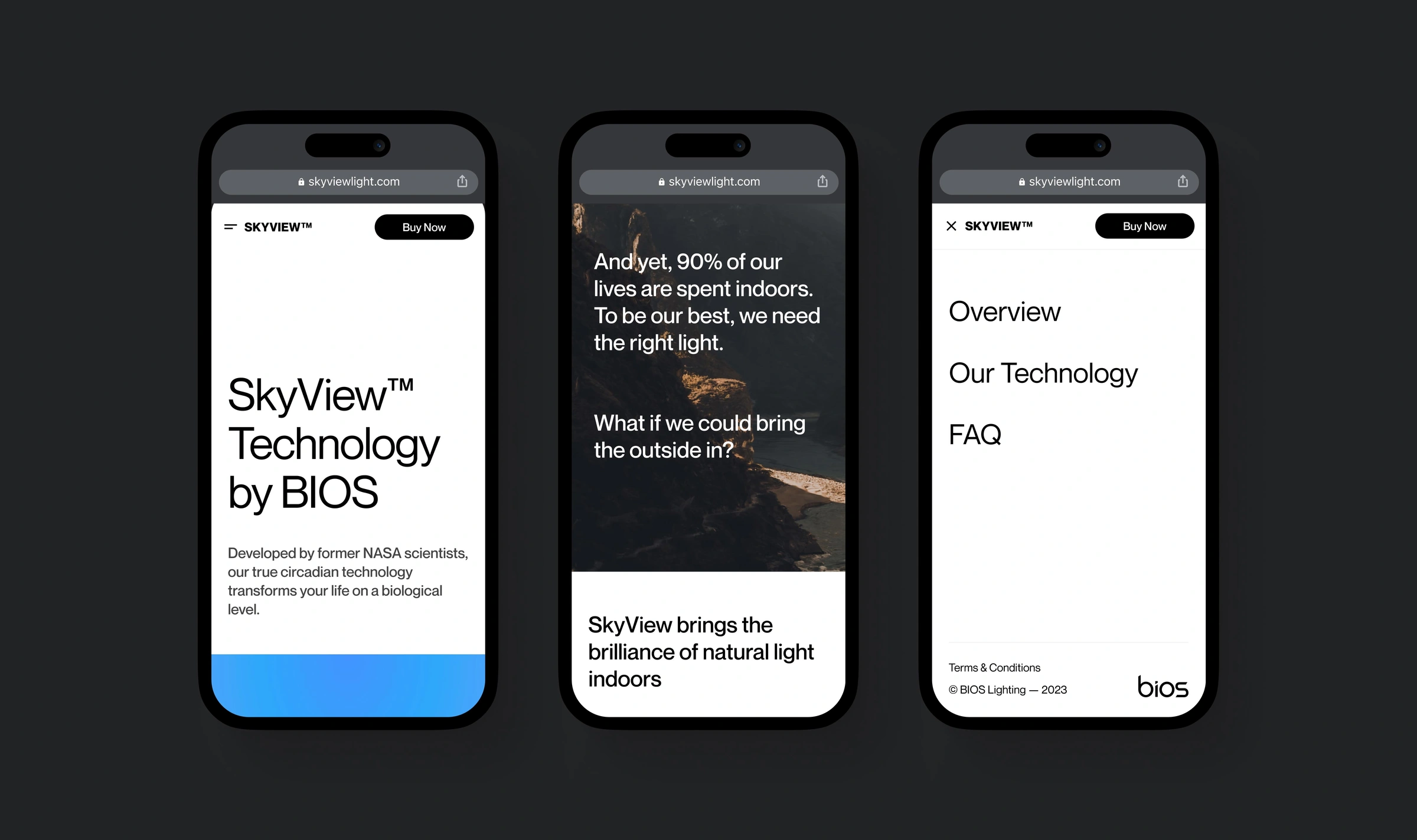 Evandro Salmeirao - Set of mobile screen showcasing Skyview's website responsive designs – SAVEE