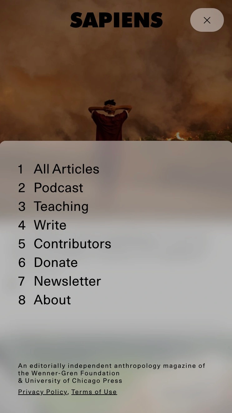 Wagner Muller - Screenshot 2023-07-16 at 08.38.12 – SAVEE