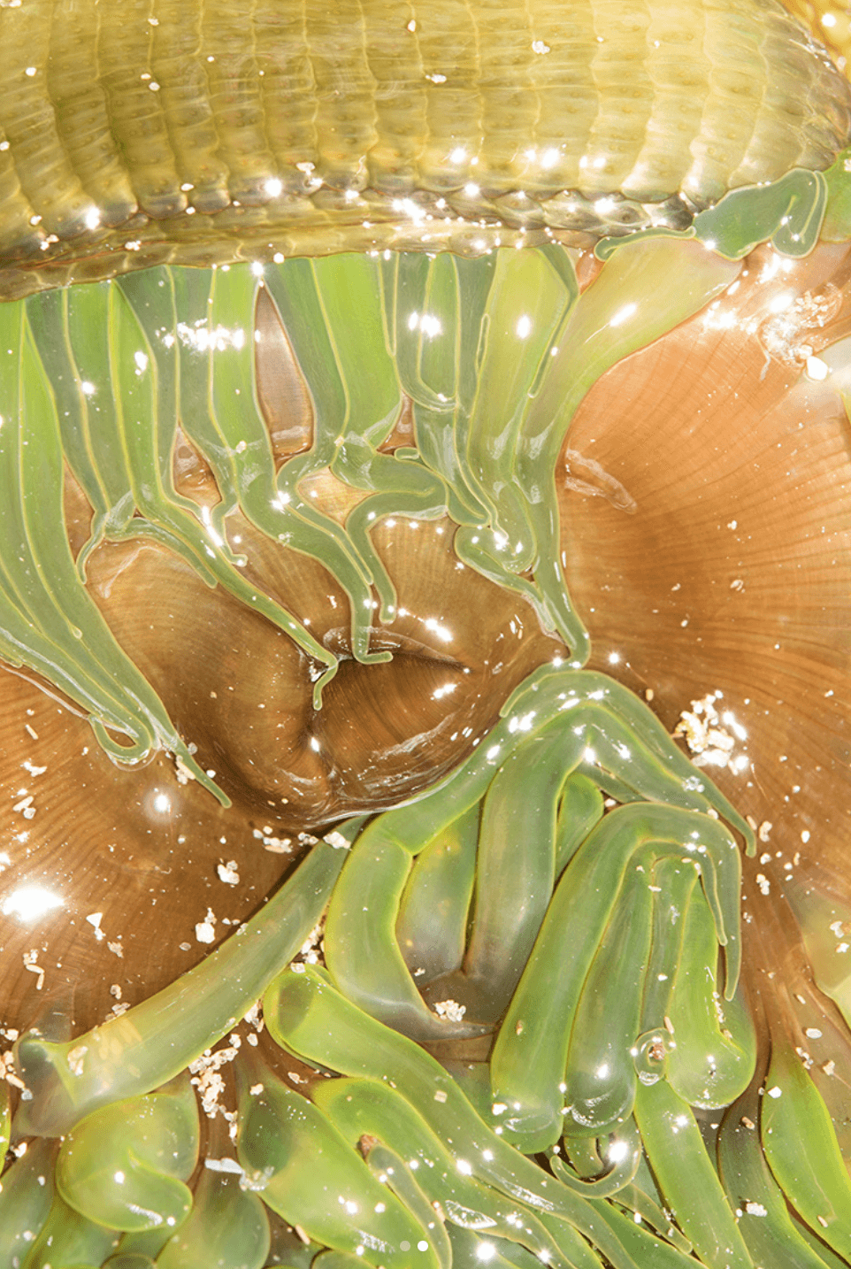 Justin Reyna - Screenshot 2023-08-03 at 7.56.58 AM – Savee