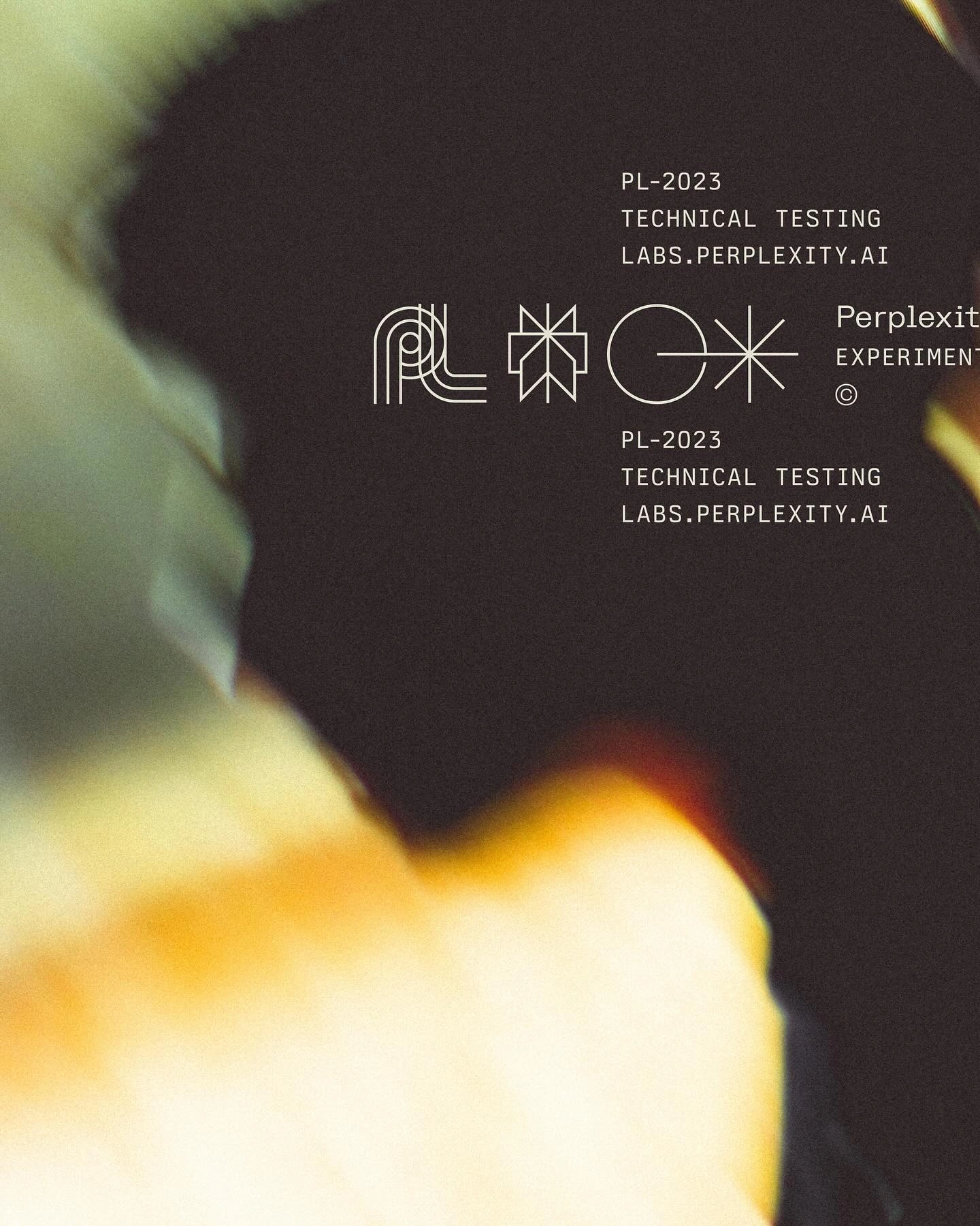 Bernise - Instagram – Savee