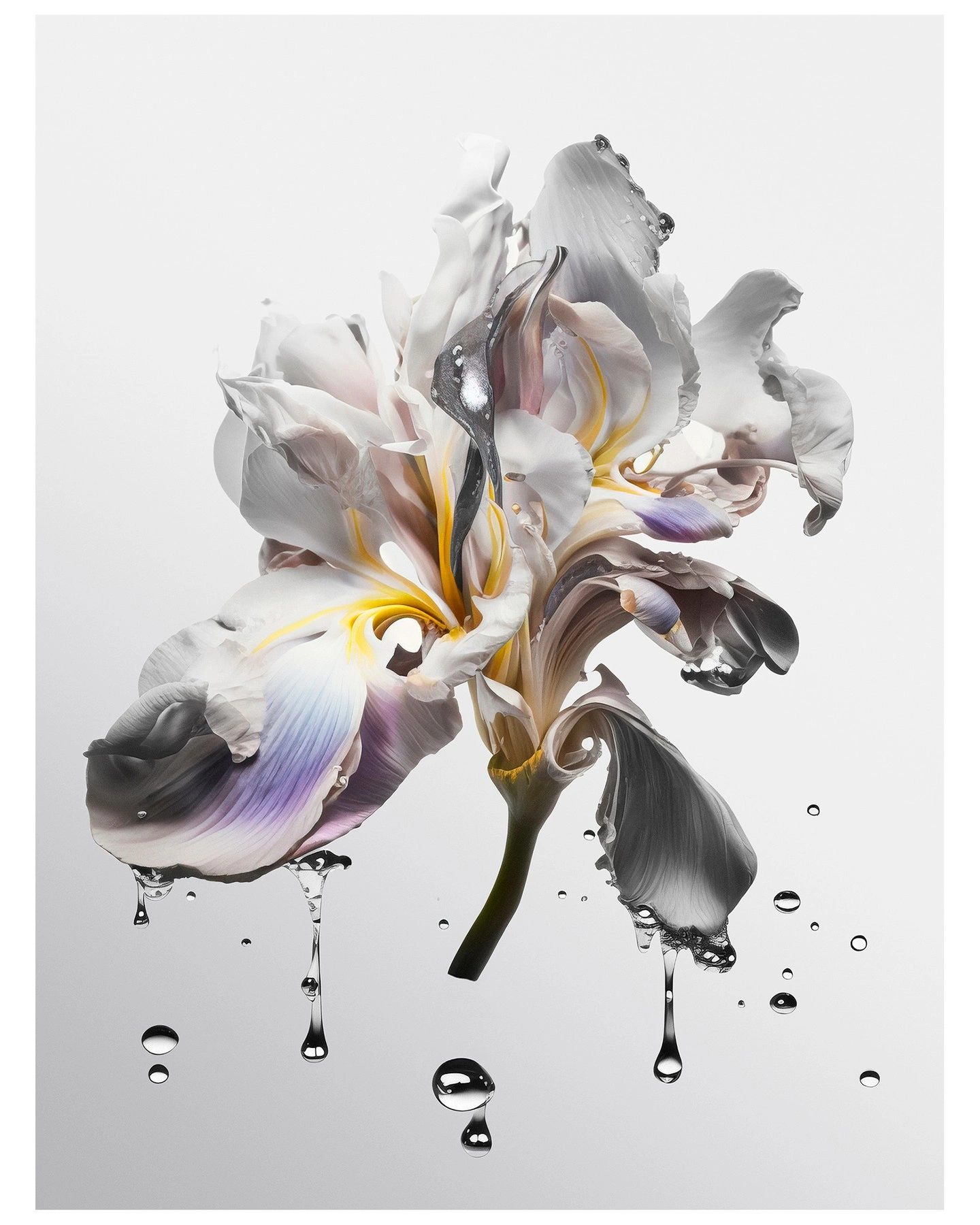 Kons - Photo by Johann Besse on August 25, 2023. May be art of lily and bearded iris. – Savee