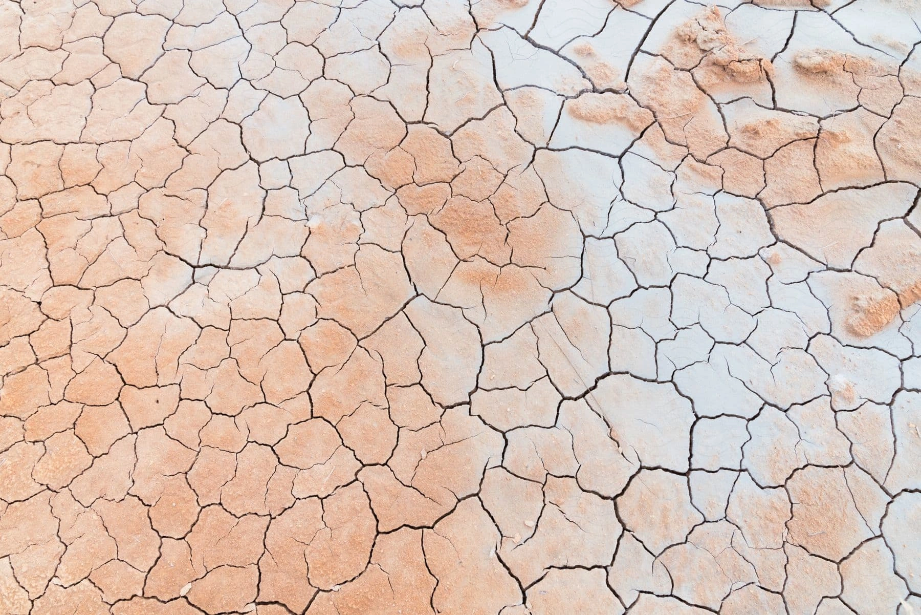 Simone Baracco - Scorched cracked desert surface in neutral tones with ...
