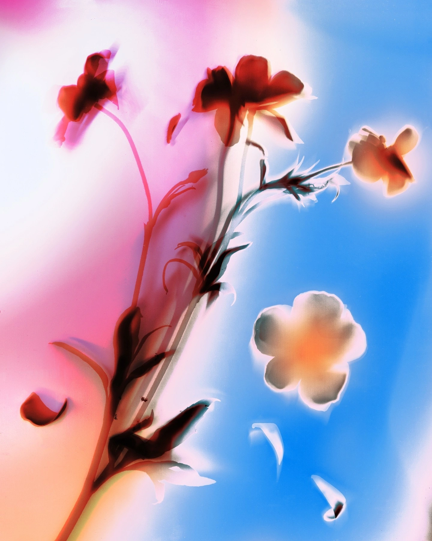 Raquel Villa - Tais Sirote (@taissirote) • Fotos y vídeos de Instagram – Savee