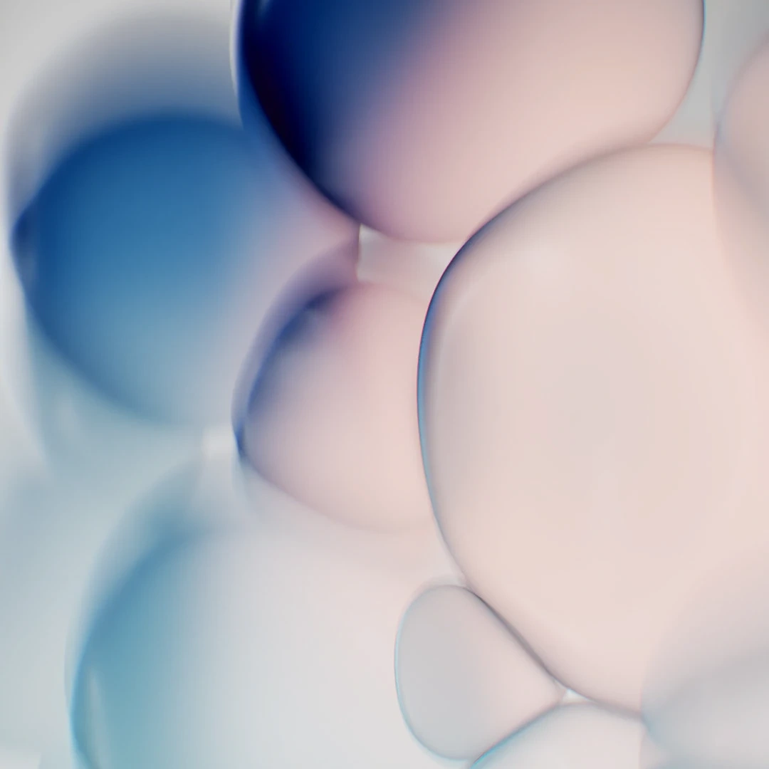 Nue Co - Shapes and color exploration :: Behance – Savee