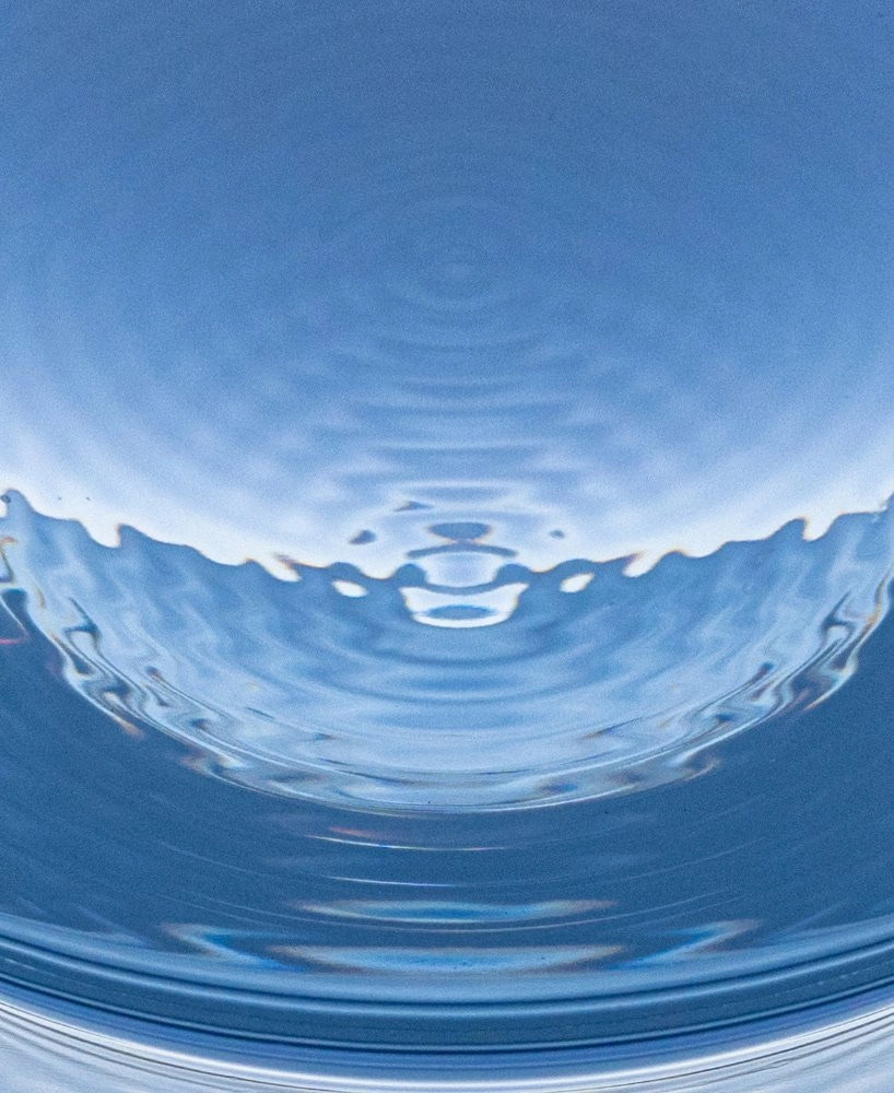 Fernanda Navilli - Lachlan Turczan – Savee