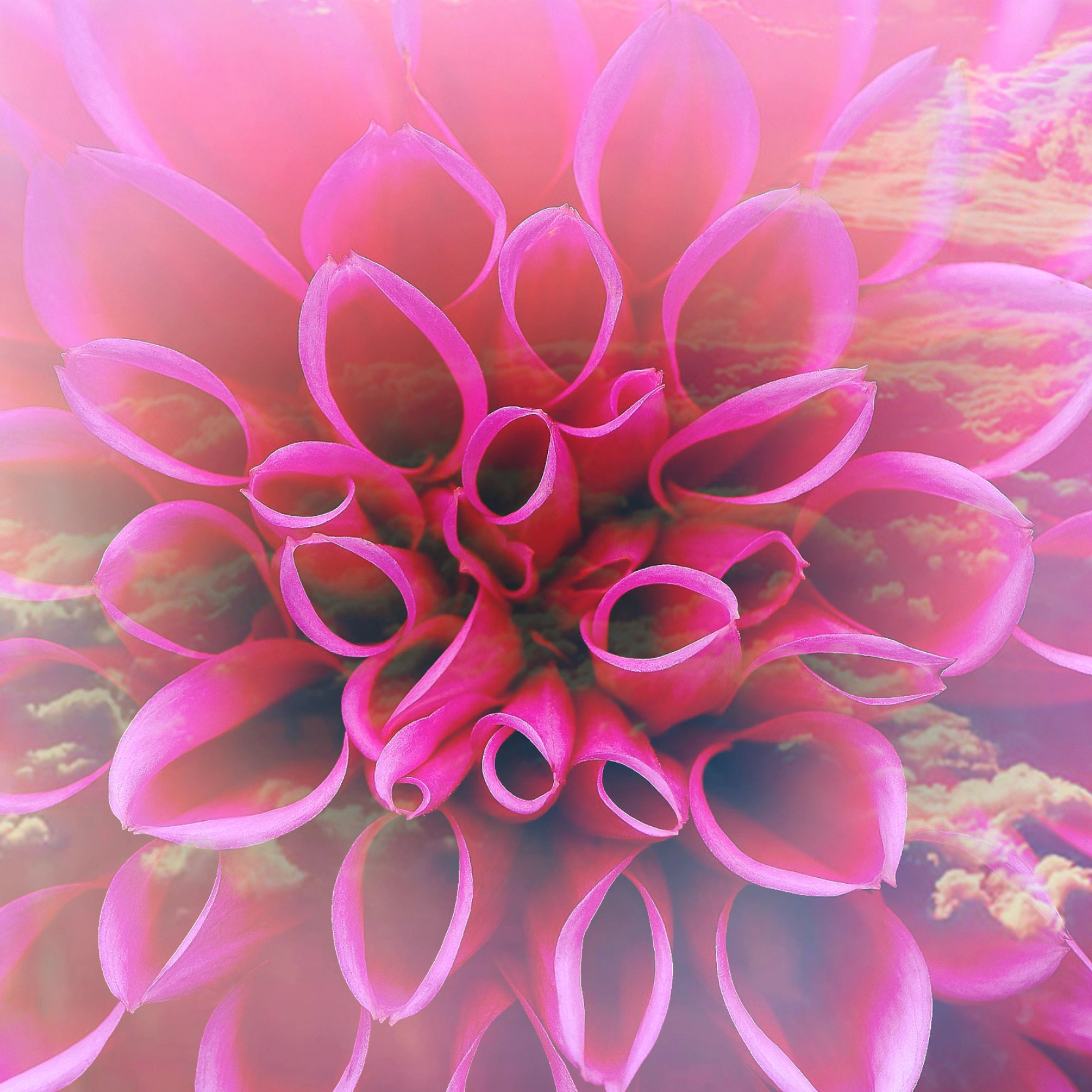 Dustin Casteel - 6942ab3d-8e80-42f8-97ac-a371ef52929b – Savee