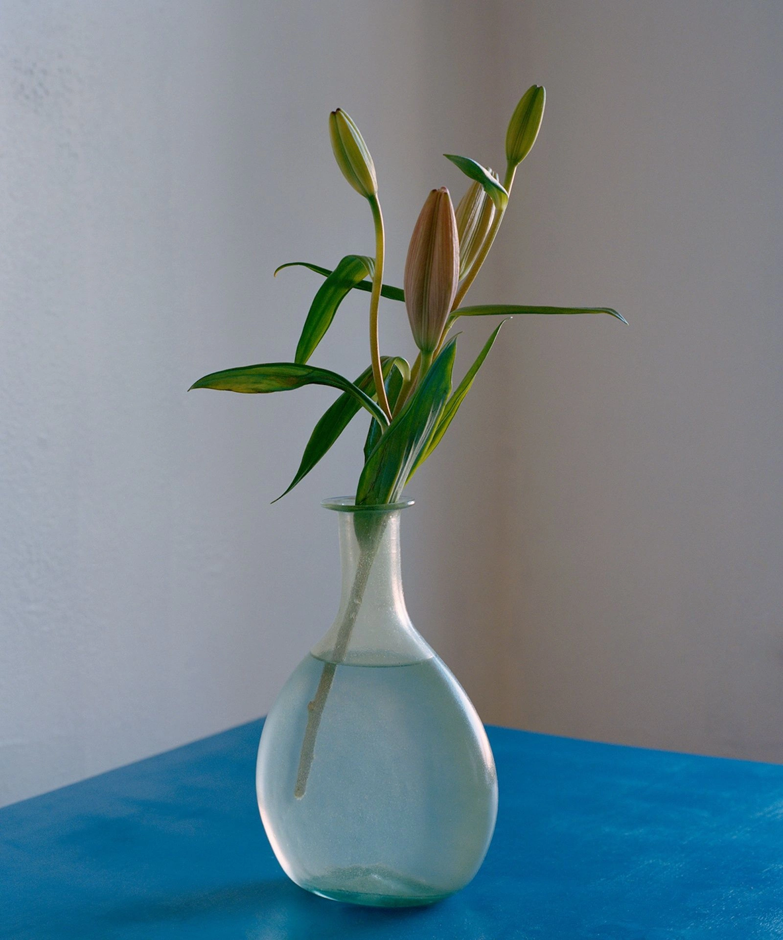 Grace Quealy - Molly Matalon’s Photography Deals With Desire, Womanhood ...