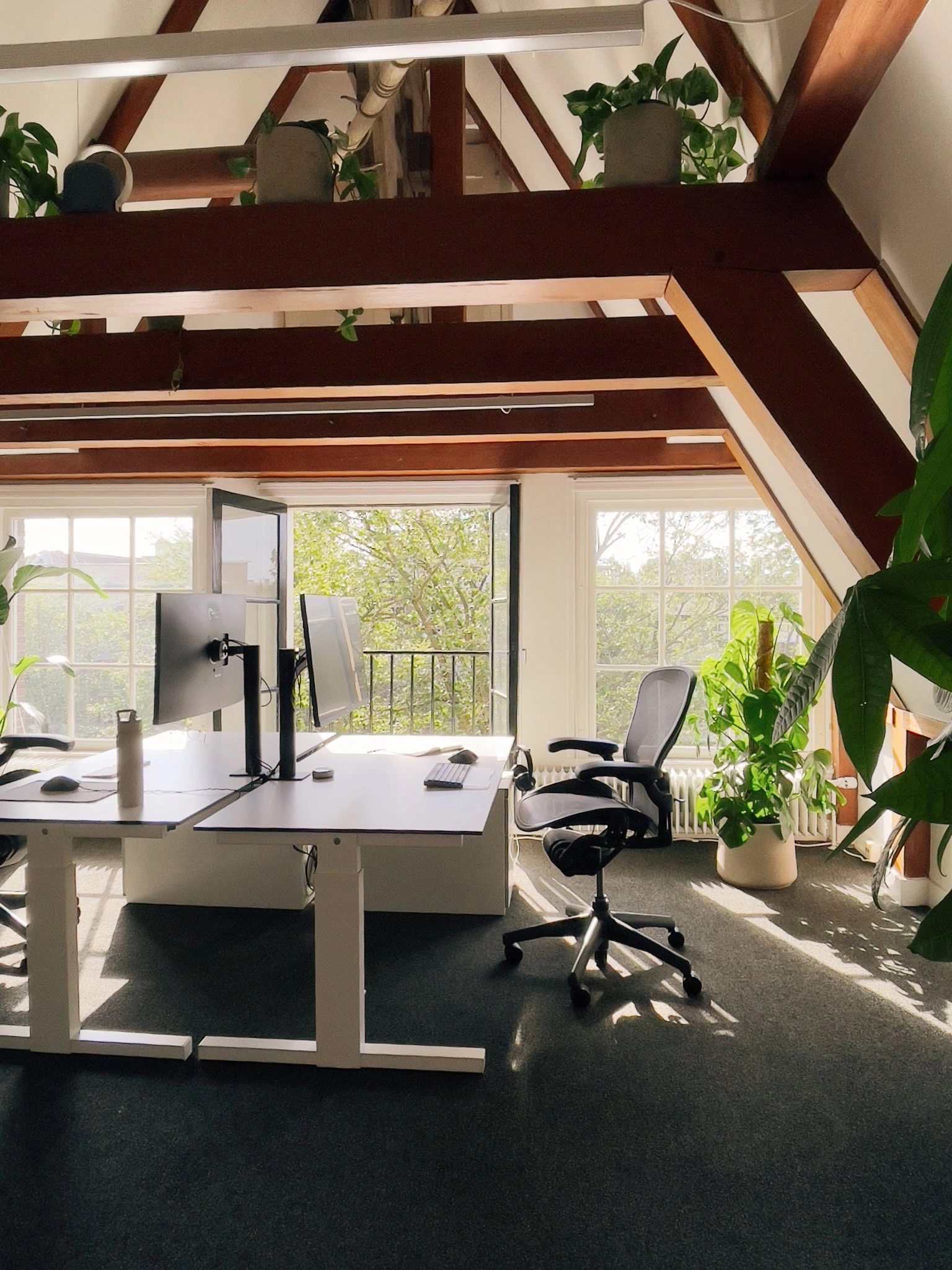 Daniel - Image – Savee