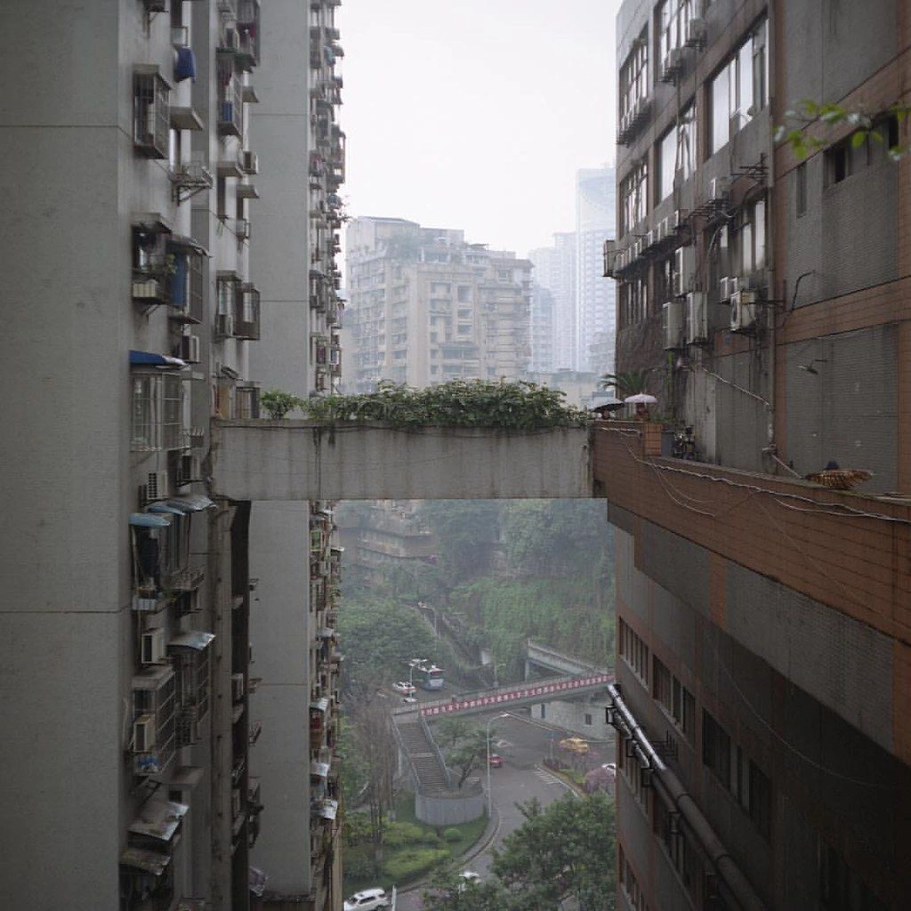 Fred-o-saurus - Bridging the gap for the weekend. Chongqing, March 2017. #china #bridge #gap # ...