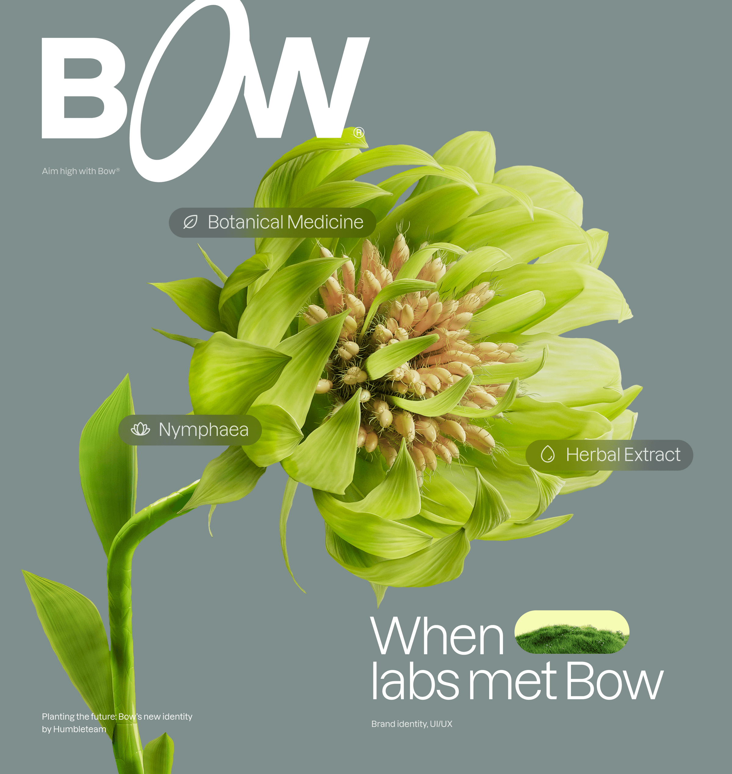 Andre do Amaral - Brand identity and UI/UX for a healthtech startup Bow ...