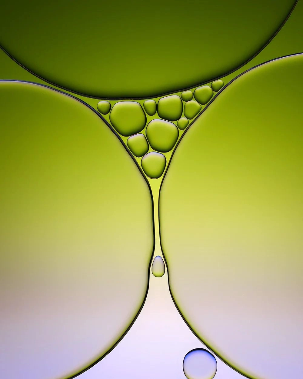 Kateryna Dziuba - Contém uma imagem de: – Savee