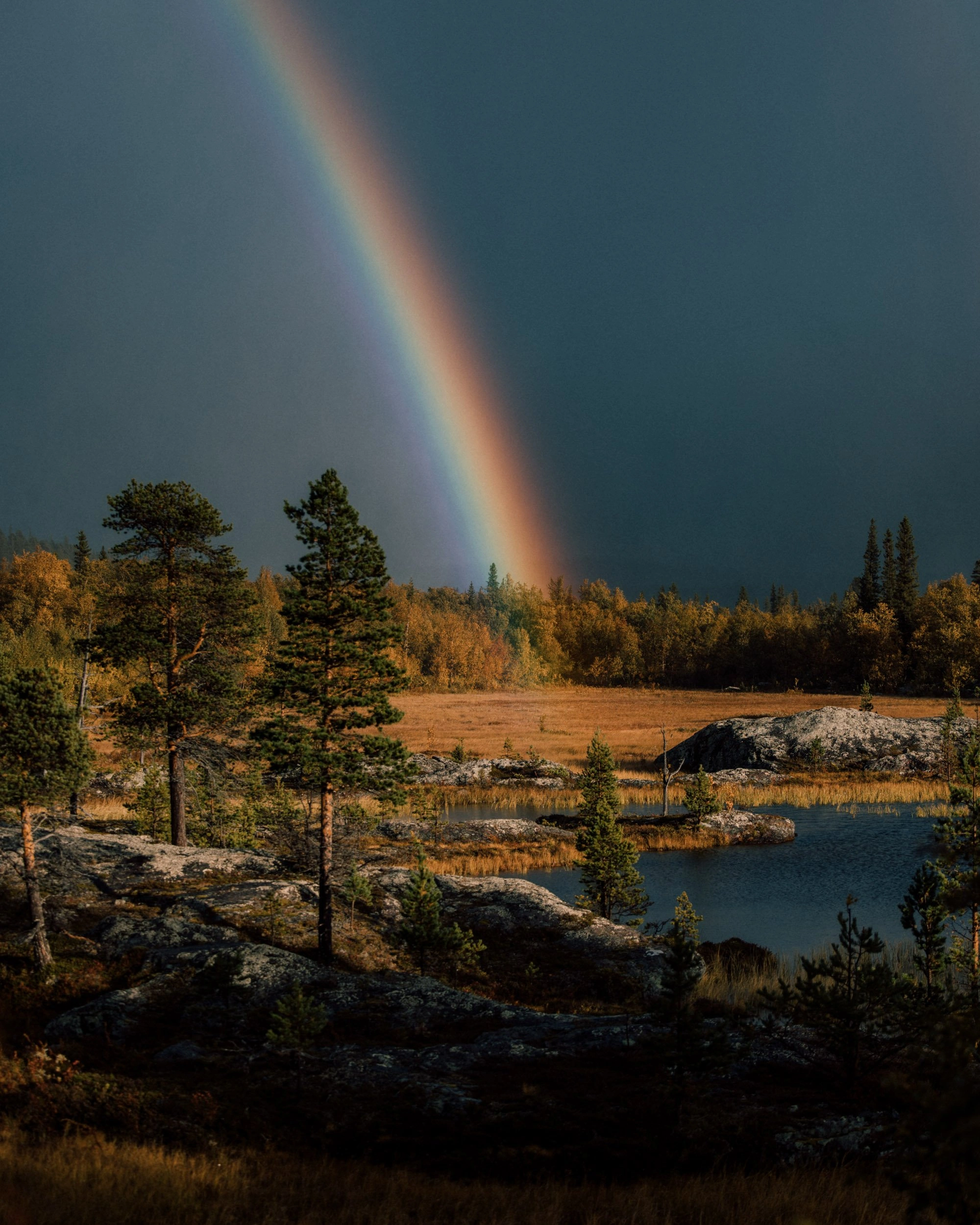 Álex López - @Hannes_Becker_Sweden3 – Savee