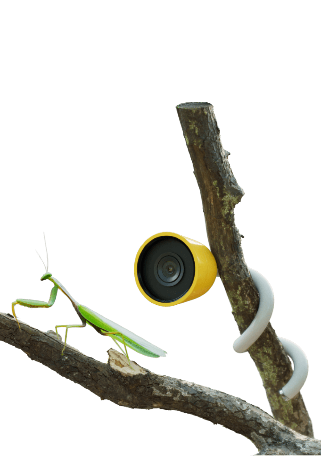 James Wolf - Interactive image 1 – SAVEE