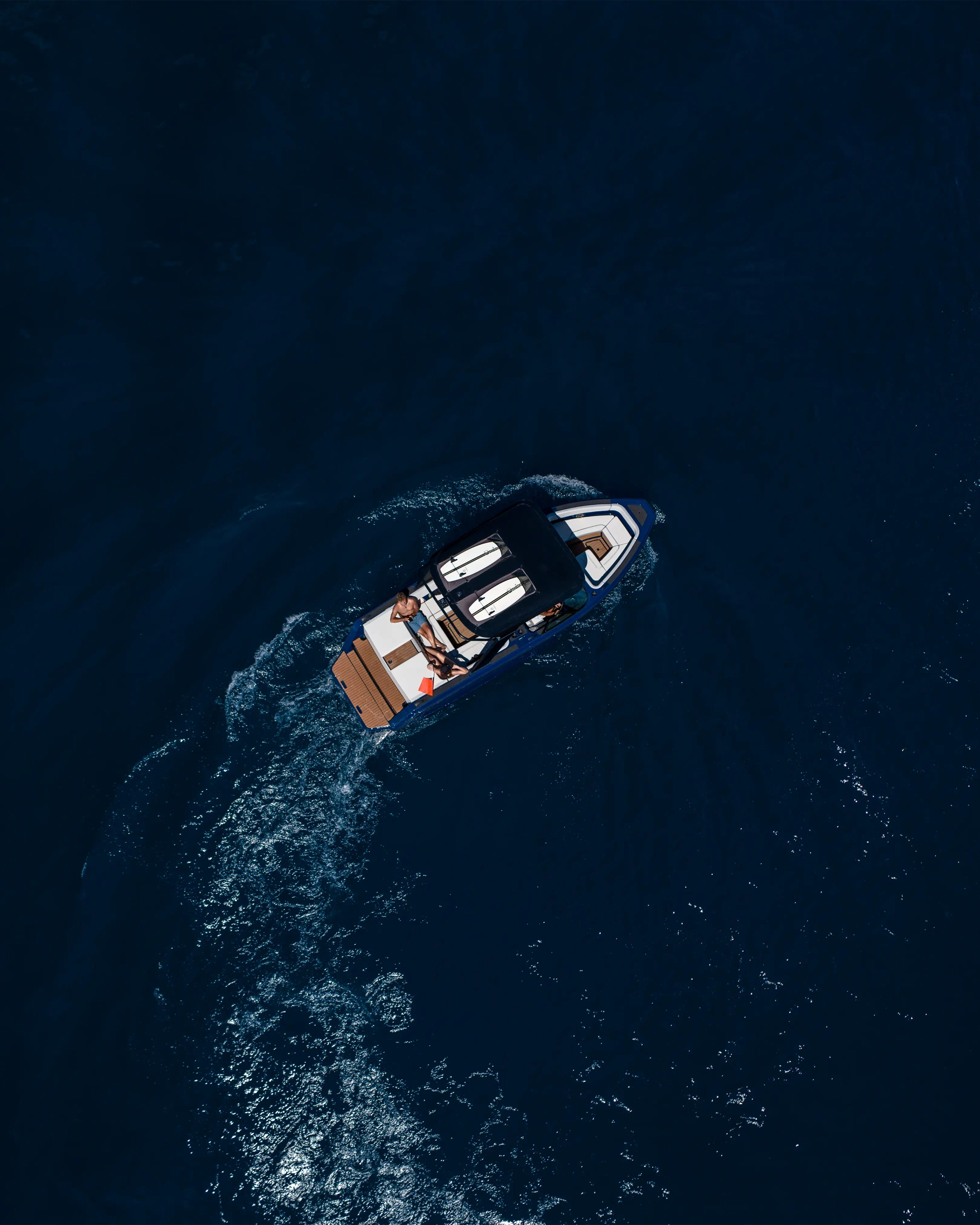 Paula Sauerschein - Special Projects — Arc – Savee