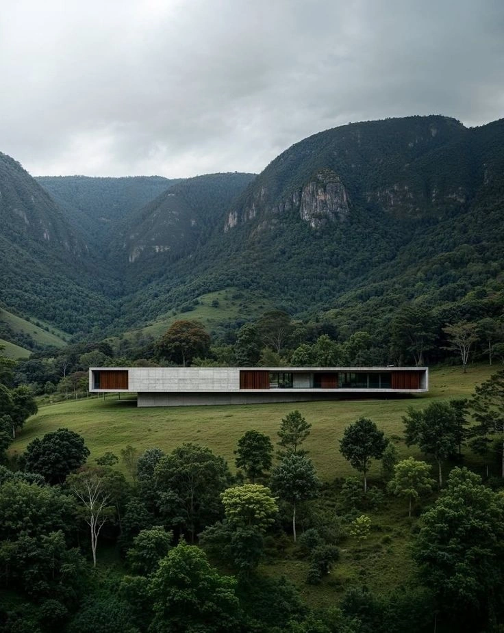 Nate - Story pin image – Savee