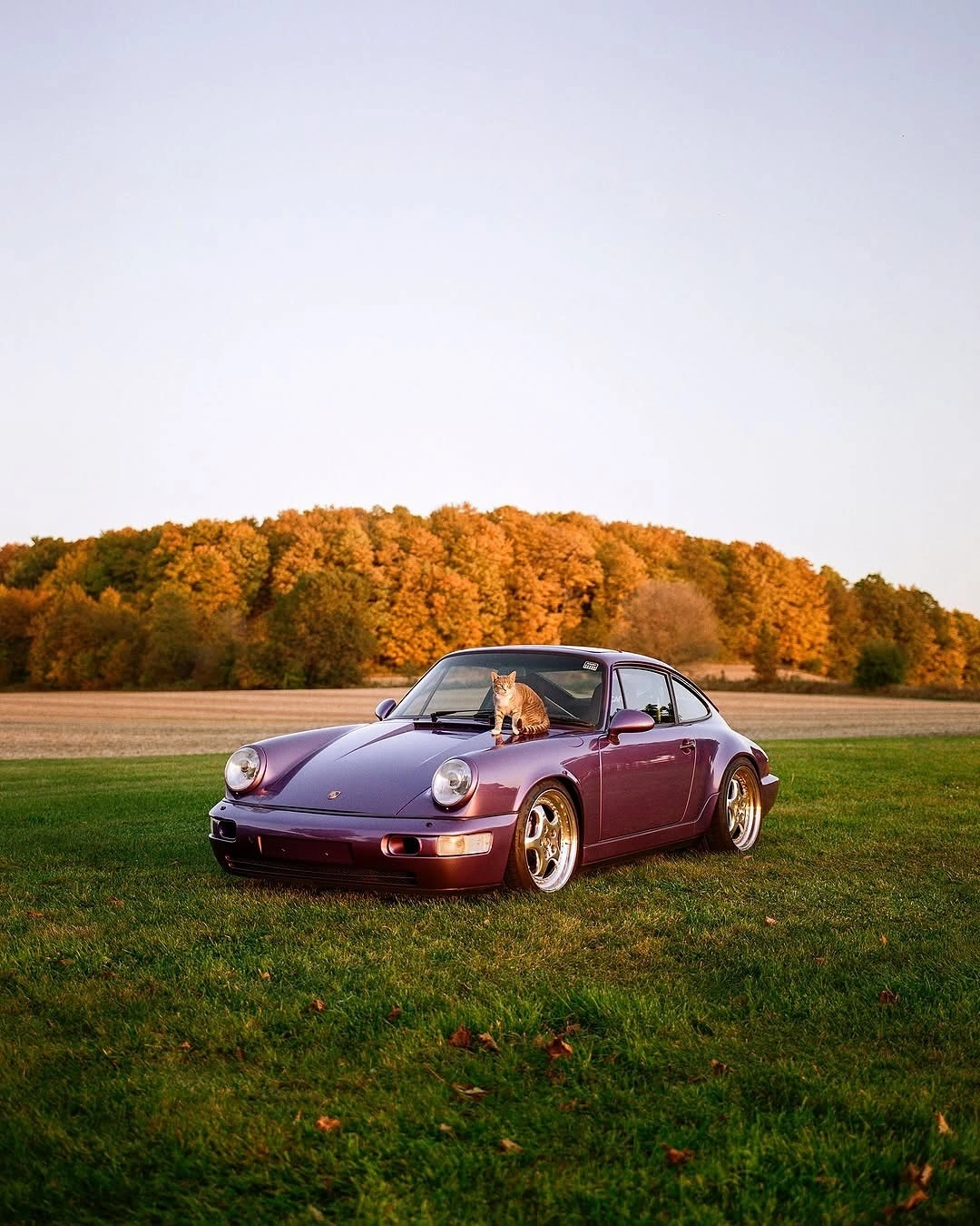 Wendel Gustavo - All Posts • Instagram – Savee