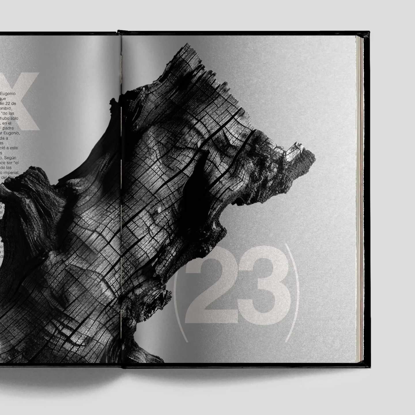 Andre do Amaral - SearchSystem™ – Savee