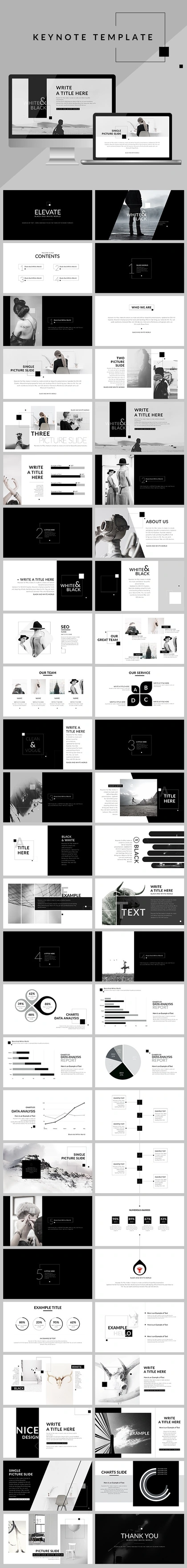 AJ Adams - Untitled – Savee