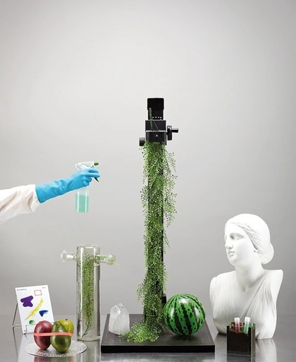 Rafael Kfouri - Untitled – Savee