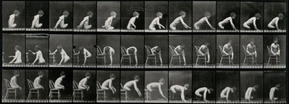 Rogier - Untitled – Savee