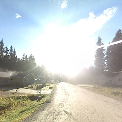 Rogier - Untitled – Savee