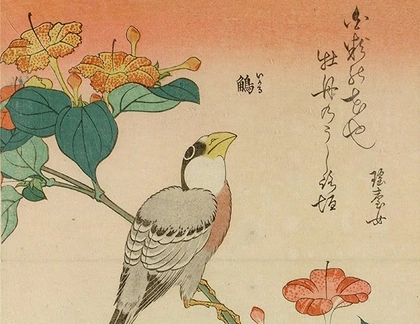 José Luis Bomfim - What's on in August - zebomfim@gmail.com - Gmail – Savee