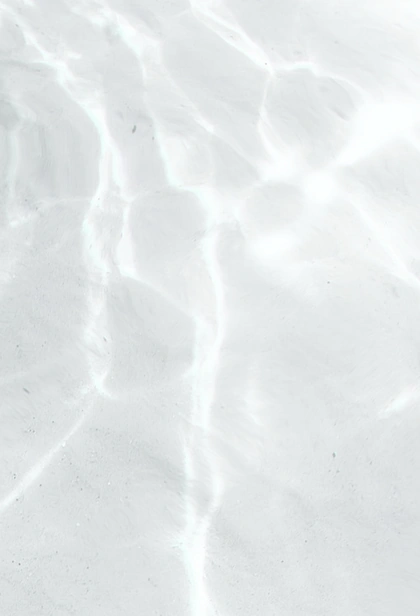 Jessica Snelling - Untitled – Savee