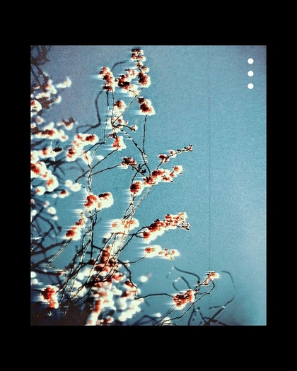 J - 117522927_730857880807989_8399131664992981284_n – SAVEE