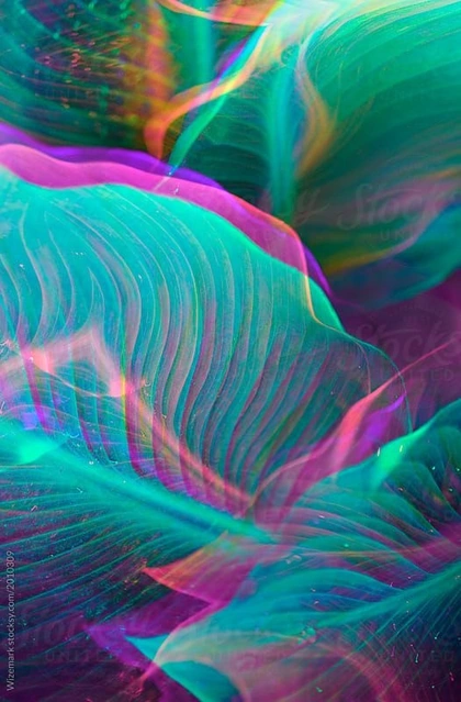 Chris Chondrogiannis - Untitled – Savee