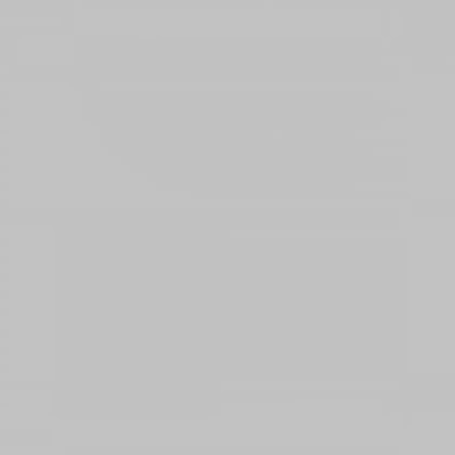 Lewis - Animation – SAVEE