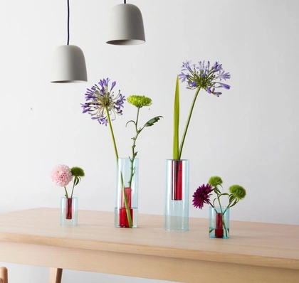 Marcos Schneider Ortiz - IMG_3708 – Savee