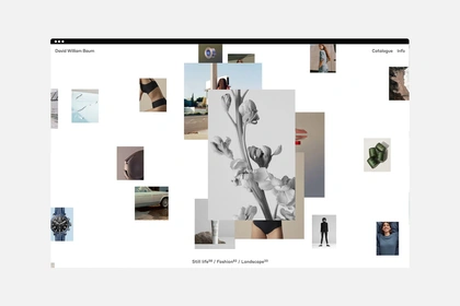 Sofia Grin - The Brand Identity – SAVEE