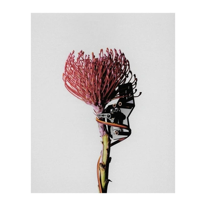 Raquel Villa - Photo by Pierre Vaillant on July 15, 2022. May be an image of flower. – SAVEE